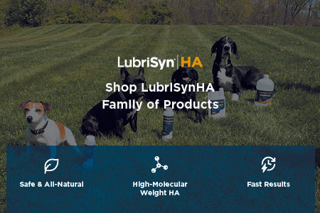 LubriSynHAProducts