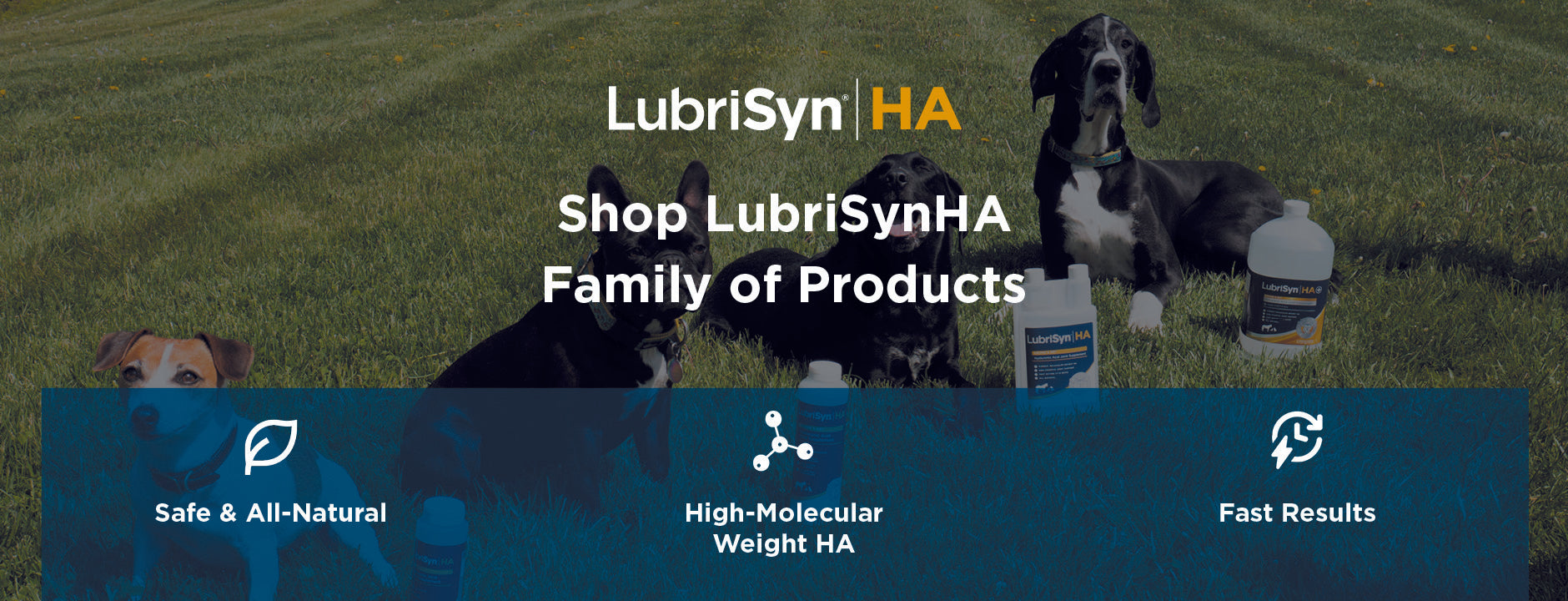 LubriSynHAProducts