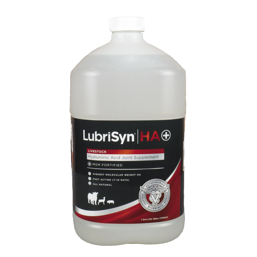 LubriSynHA Plus MSM Livestock Gallon – LubriSynHAProducts